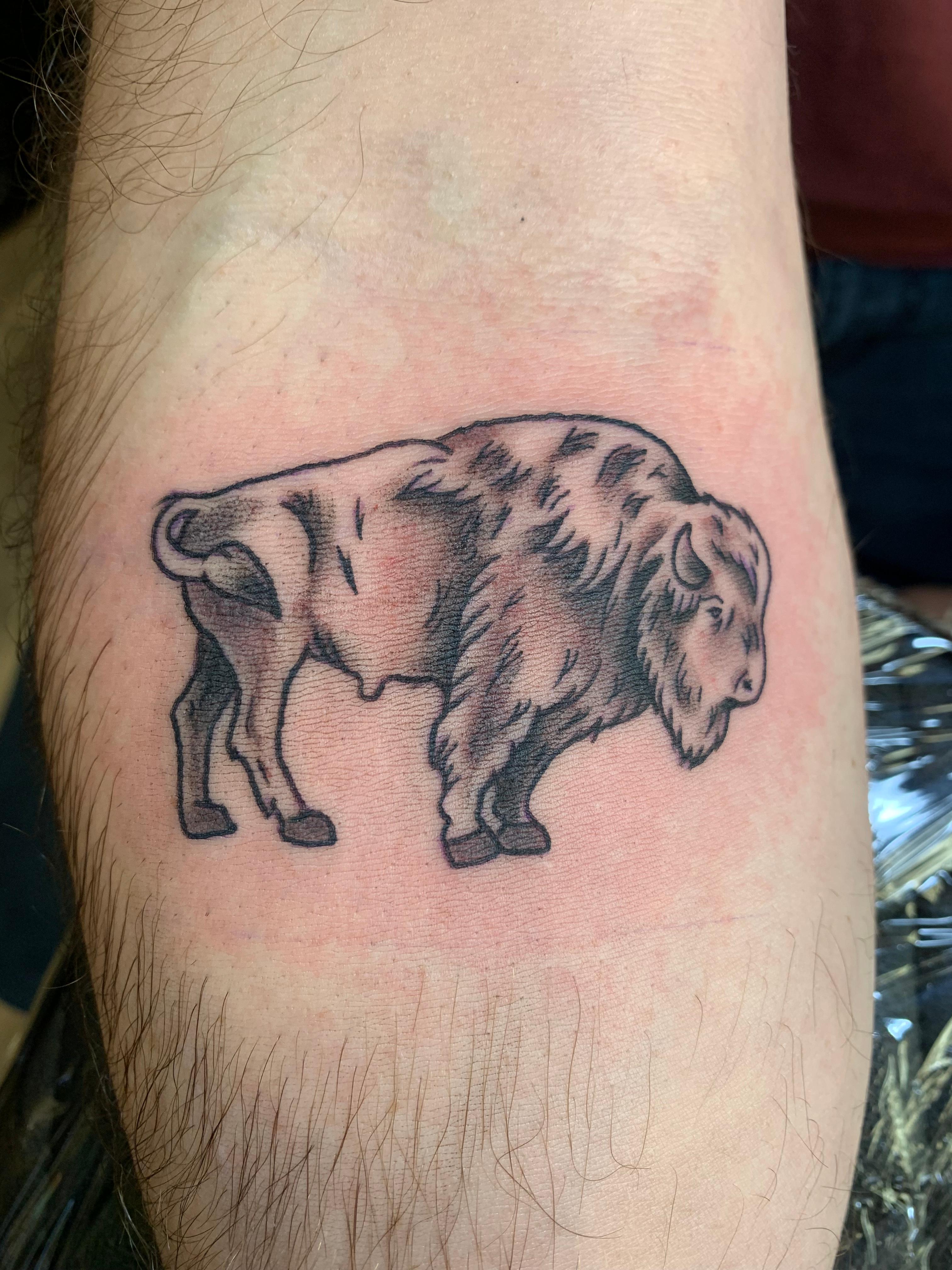 American Bison Tattoo
